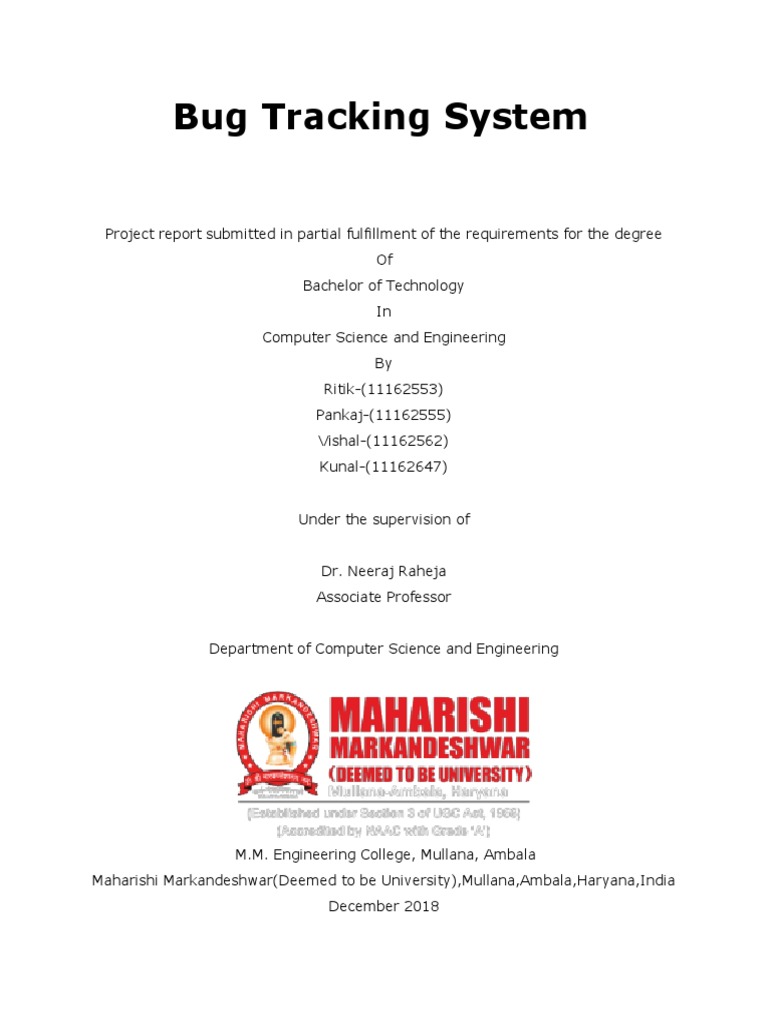 BTS REport | Download Free PDF | Software Bug | Computer File