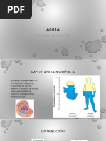 Mapa Conceptual Liquidos y Electrolitoss | PDF | Potasio | Dieta y nutrición