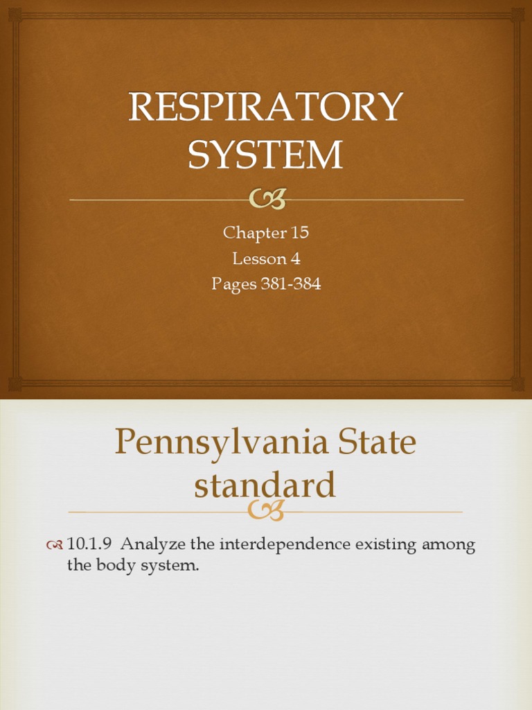 7th Class Respiratory System | Download Free PDF | Respiratory Tract ...