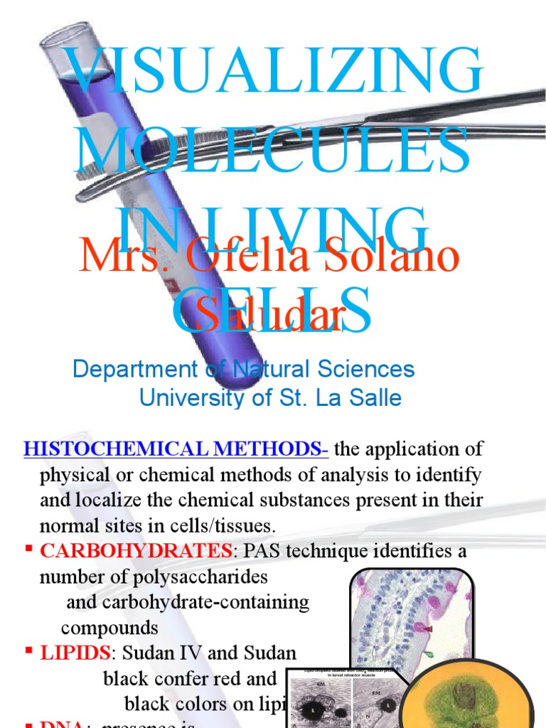Visualizing Molecules in Living Cells | PDF | Biology | Western Blot Visualizing Molecules in Living Cells | PDF | Biology | Western Blot