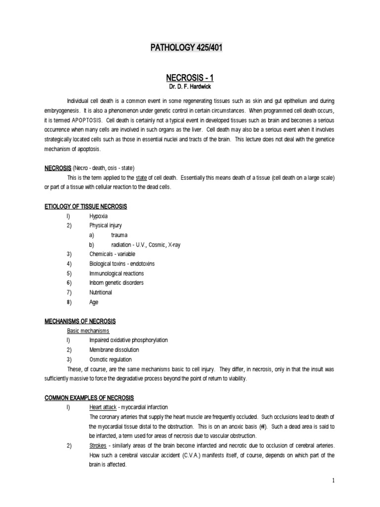 Necrosis Notes | PDF | Necrosis | Apoptosis