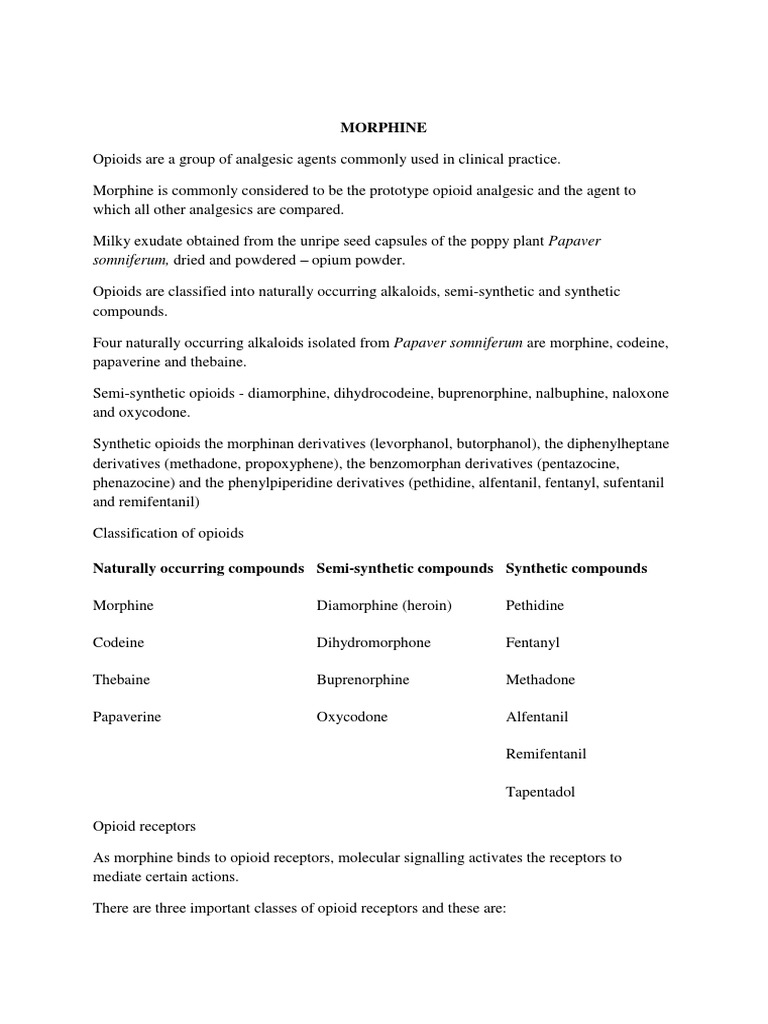 Morphine: Somniferum, Dried and Powdered - Opium Powder | PDF | Opioid ...