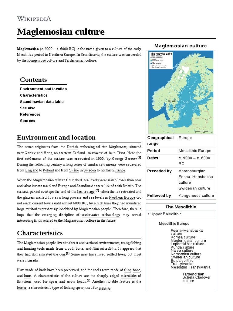 Maglemosian Culture | PDF | Stone Age | Archaeology