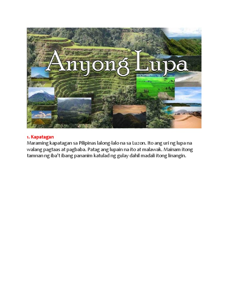 Project Grade 7 | PDF