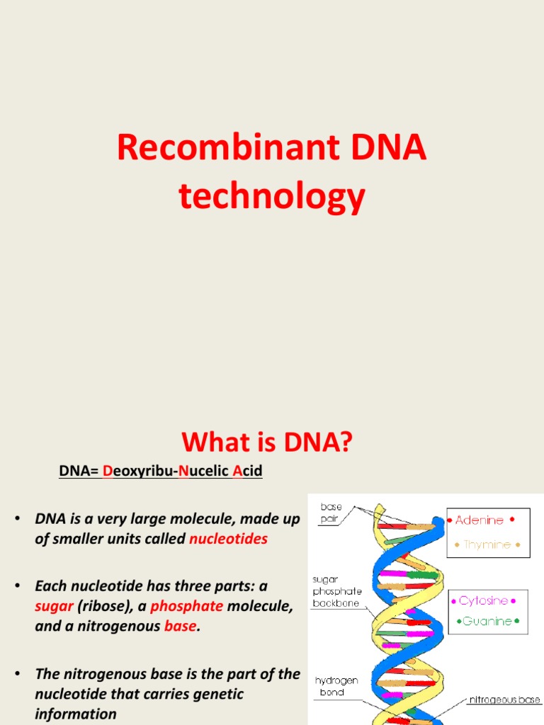 Recombinant DNA | PDF | Gene | Dna