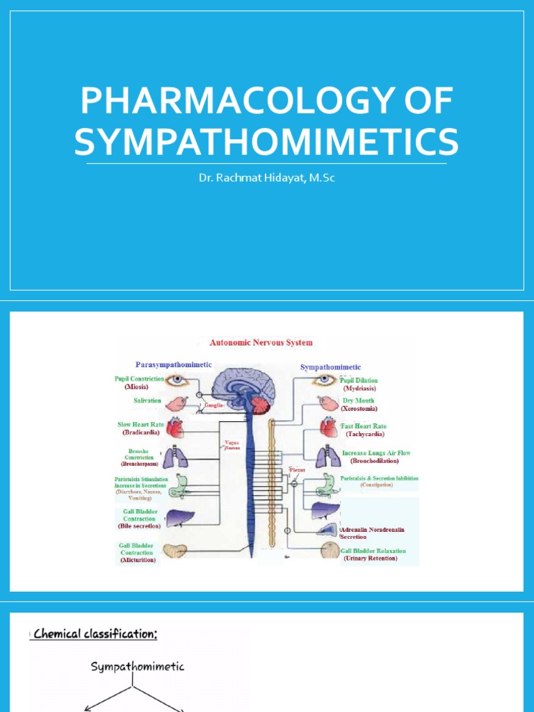 Sympathomimetics and Parasympathomimetics | PDF