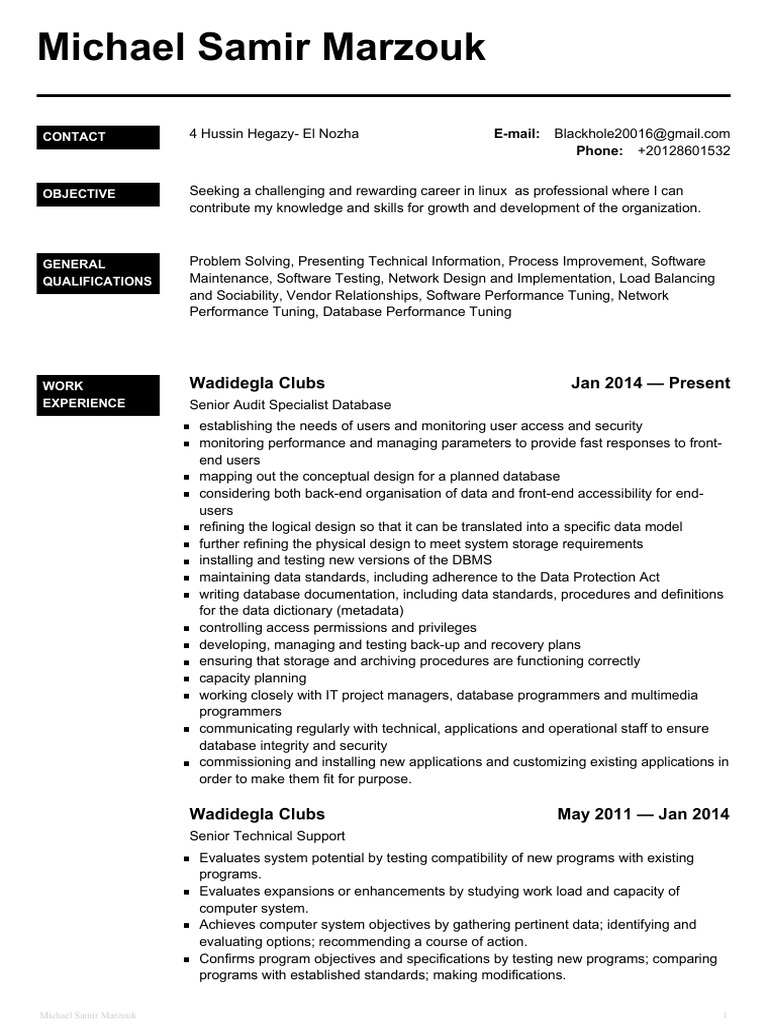 Michael Samir Technical Support | PDF | Databases | Software Testing