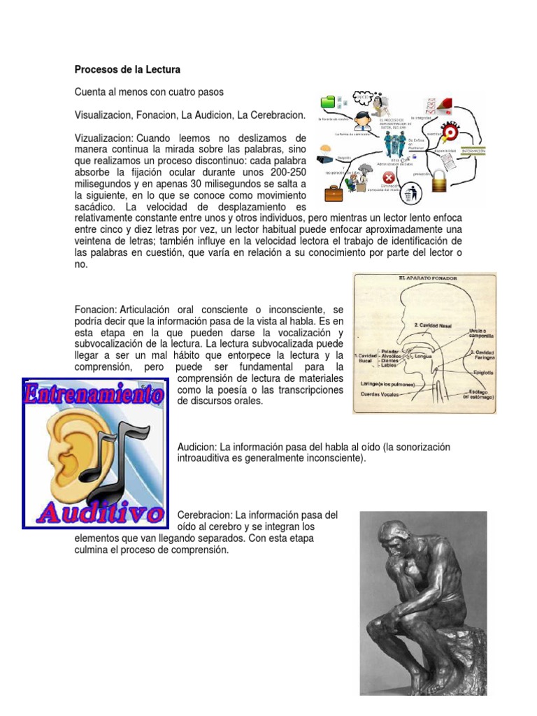Los cuatro pasos clave del proceso de lectura | PDF