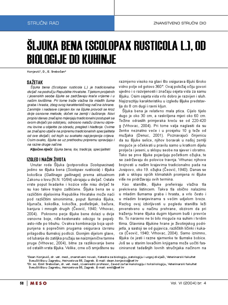 5 Sljuka 2004 BR 4 18 PDF | PDF