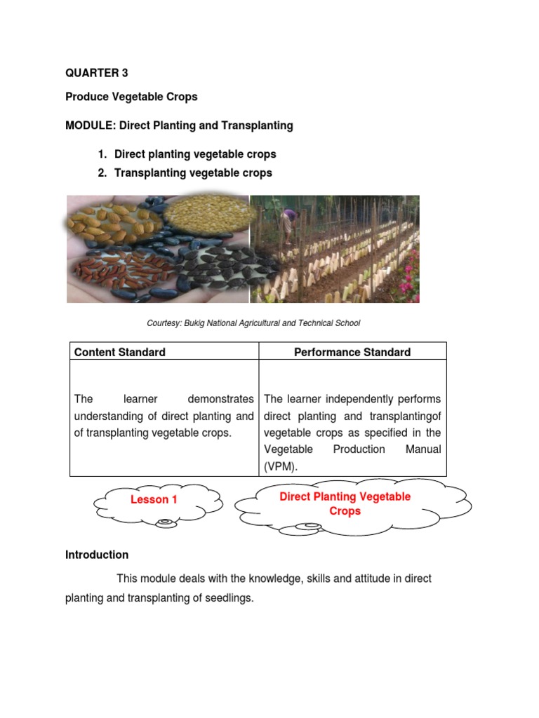 Module 4. Direct Planting and Transplanting | PDF | Seed | Sowing