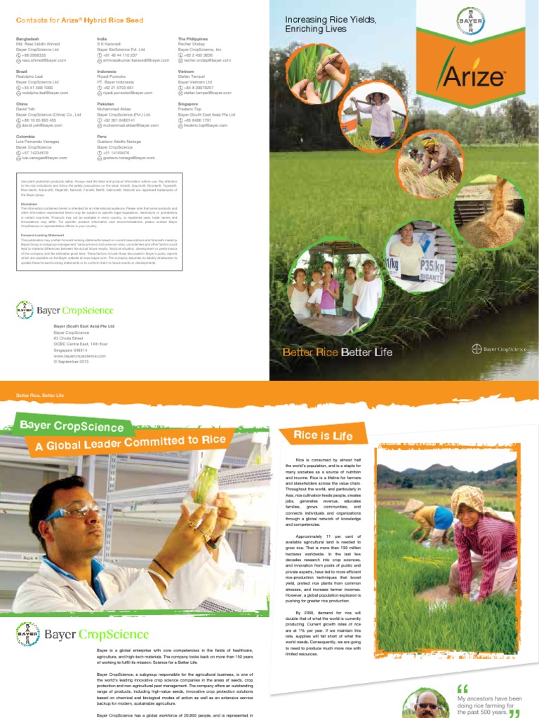 Arize Hybrid Rice Brochure PDF | PDF | Rice | Plant Breeding