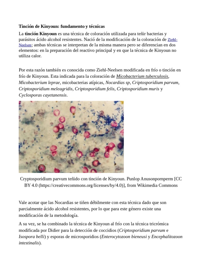 Kinyoun | PDF | Tinción | Alcohol