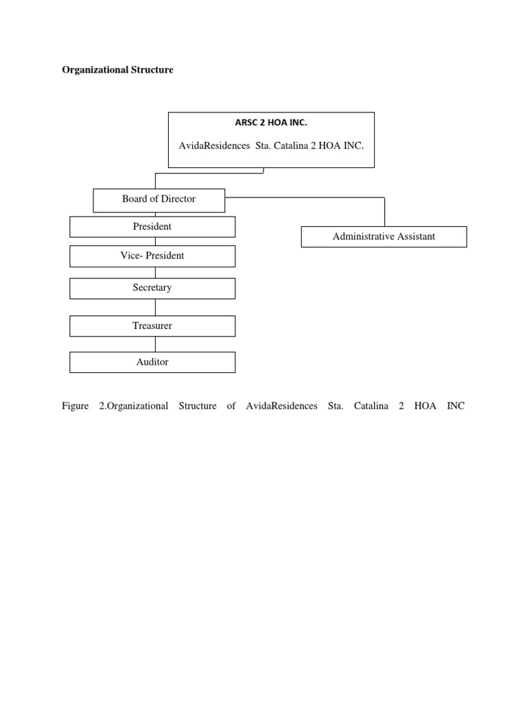 HOA Organizational Structure Overview | PDF
