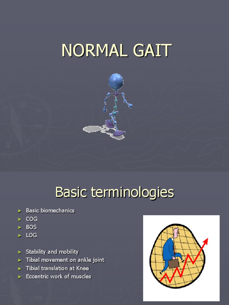 Phases and Biomechanics of Gait | PDF | Foot | Anatomical Terms Of Motion