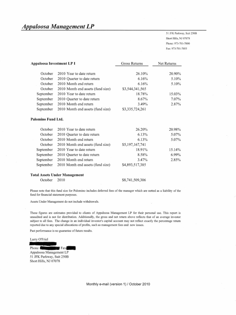Appaloosa Investor Letter | PDF