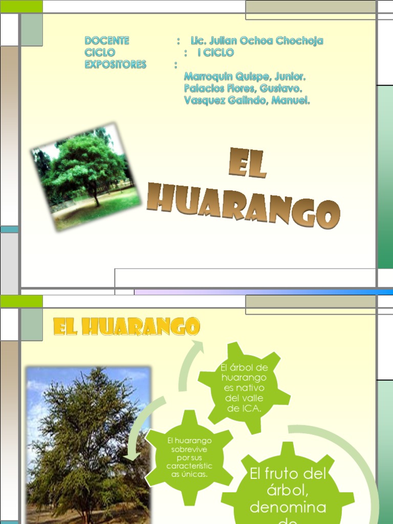 Beneficios y características del huarango | PDF | Arboles | Miel
