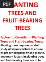 Apitong Tree: Characteristics and Uses | PDF | Home & Garden