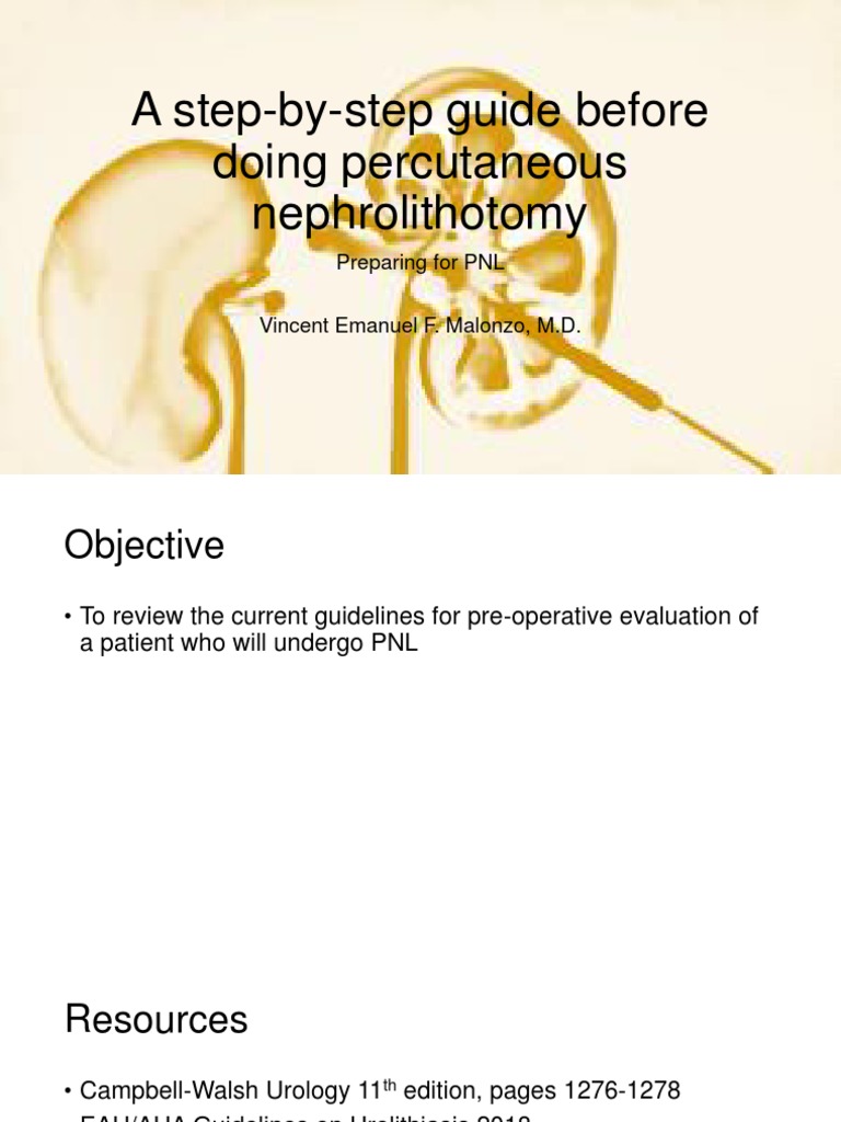 A Step-By-step Guide Before Doing Percutaneous Nephrolithotomy1 | PDF ...