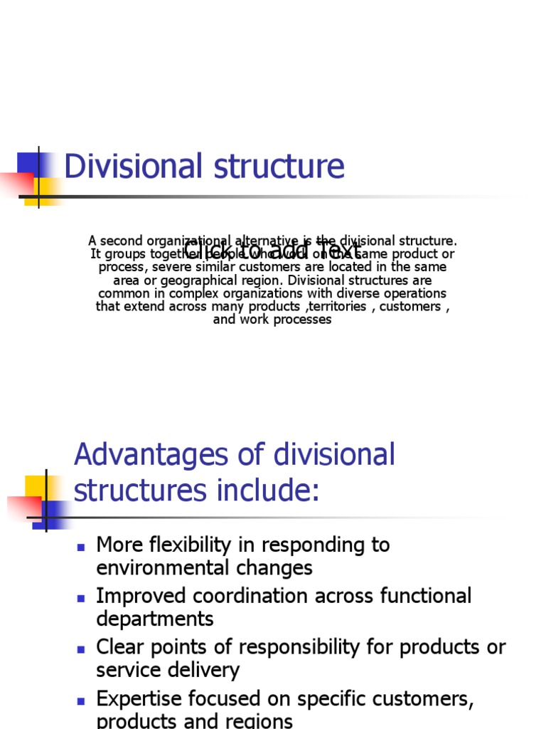 Organizational Structures Overview | PDF | Customer | Retail