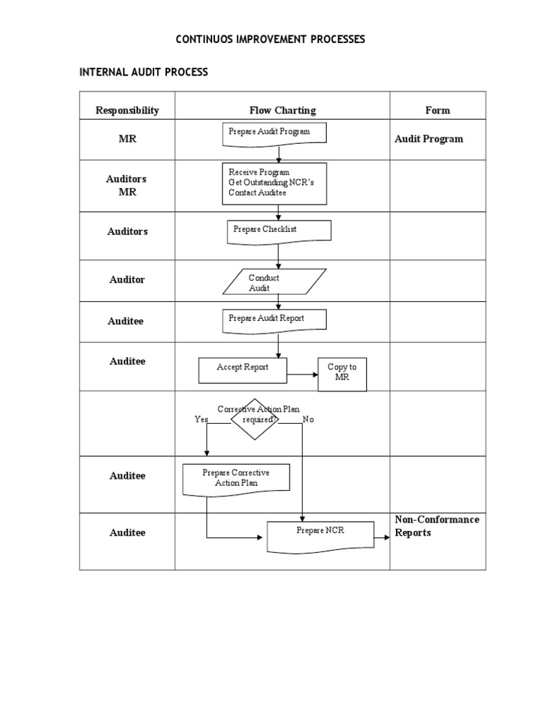 Continuos Improvement Processes Internal Audit Process | PDF