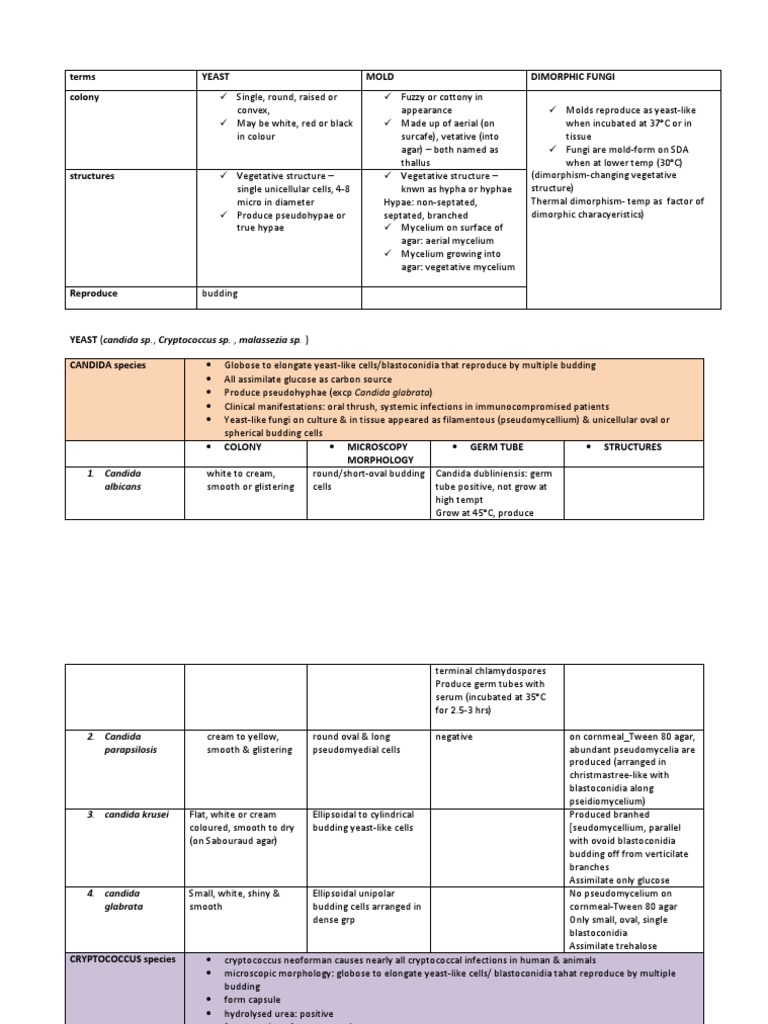 Yeast, Mold and Dimorphic Fungi Identification Chart | PDF | Candida ...