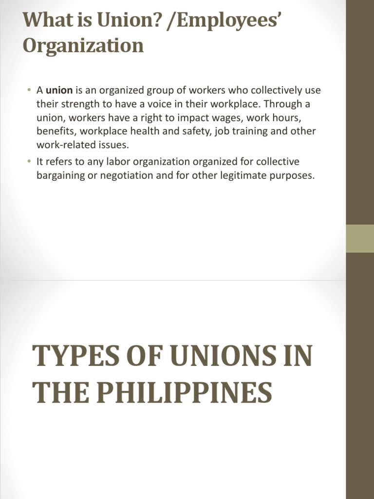 Union Organizing | PDF | Trade Union | Employment