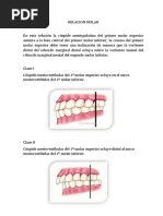 Relación Dental: Clases de Angle y Andrews | PDF | Anatomia dental | Diente