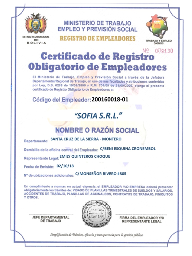 Registro Obligatorio Del Empleador-Roe | PDF