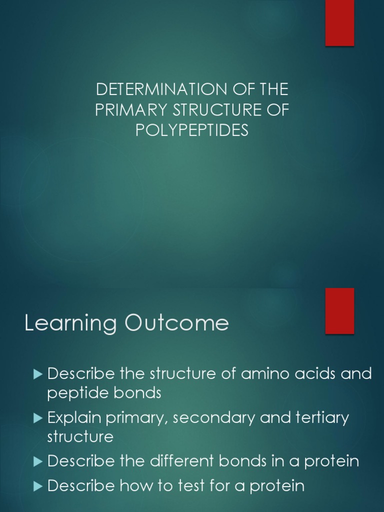 Primary Structure of Polypeptides | PDF | Peptide | Proteins