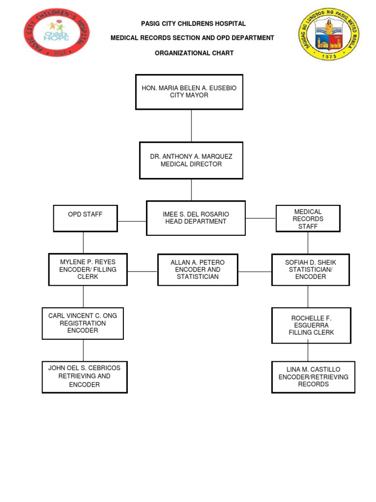 PCCH Organizational Chart | PDF | Medical Record | Health Care