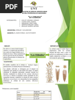 Morfologia Cebada 2020 | PDF | Cebada | Fertilizante
