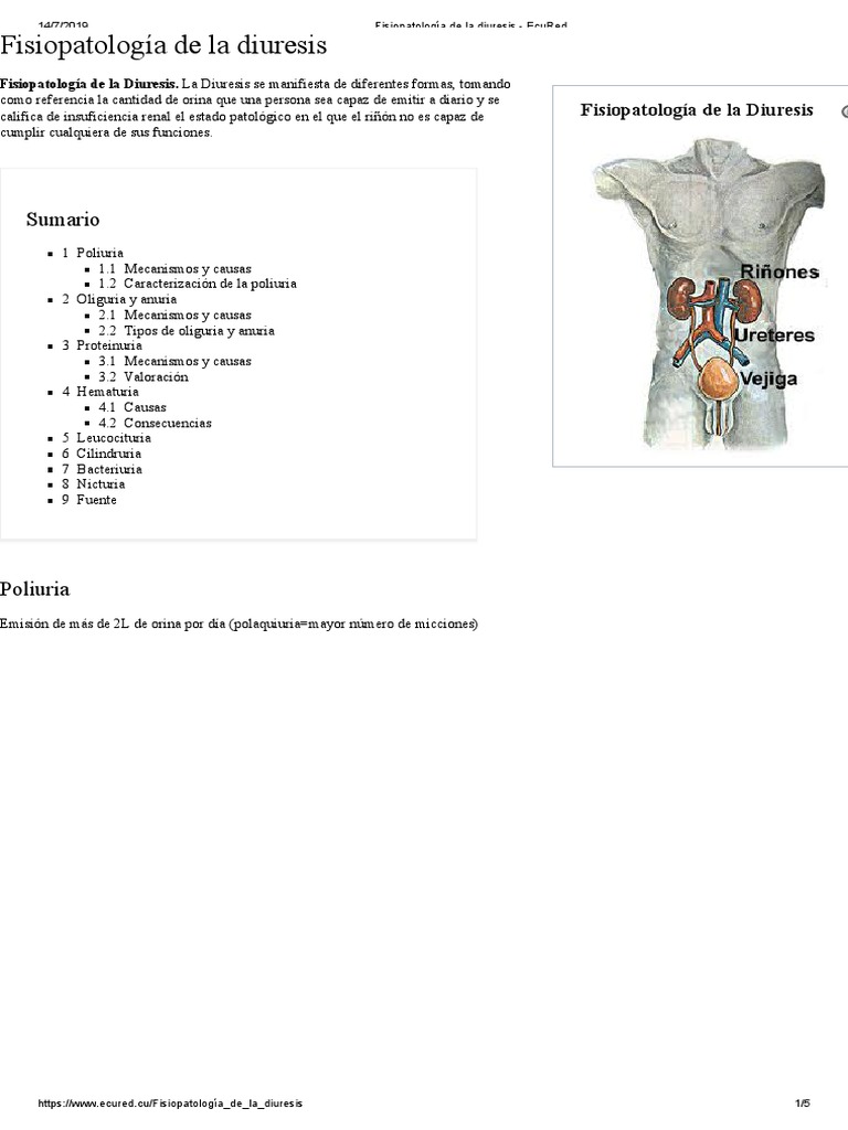 Fisiopatología de La Diuresis | PDF | Riñón | Medicina
