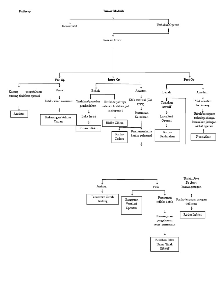 Pathway OK IBS | PDF