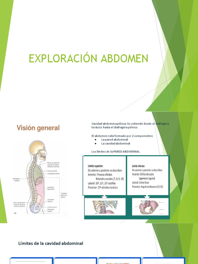 Exploración de Abdomen y Región Inguinal | PDF | Abdomen | Pelvis