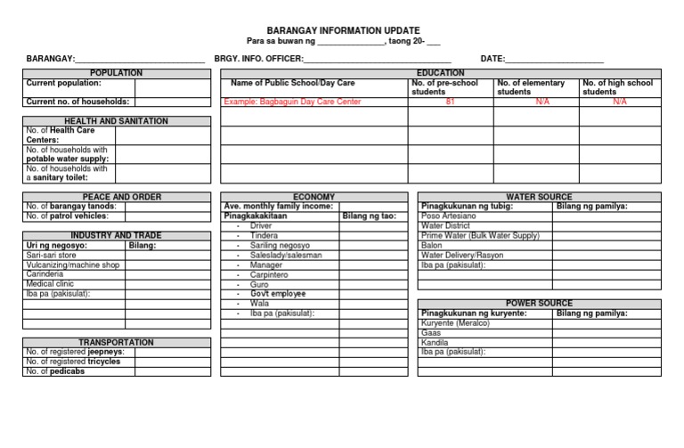 Brgy. Info Form - Brgy Profile | PDF | Sanitation | Hydraulic Engineering
