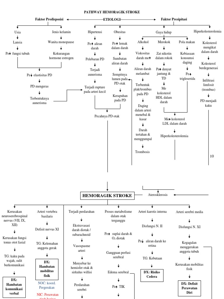 Pathway Hemoragik Stroke 2 | PDF