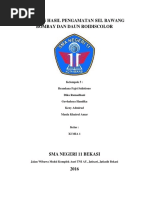 Pengamatan Sel Gabus Singkong | PDF | Griya & Taman