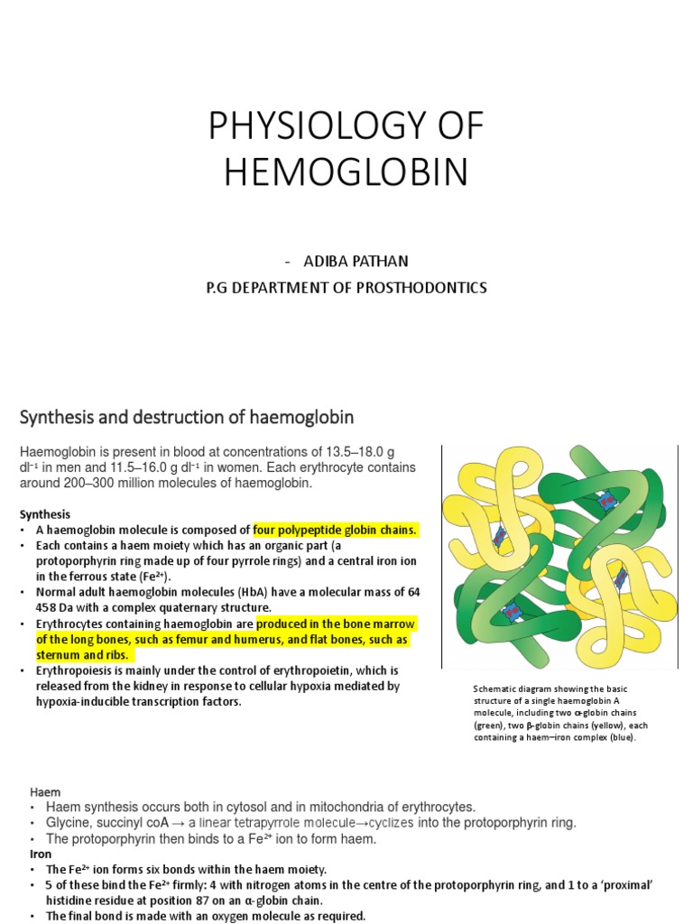 Physiology of hemoglobin | Hemoglobin | Blood