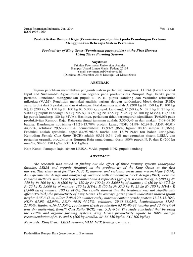 ID Produktivitas Rumput Raja Pennisetum Pur | PDF