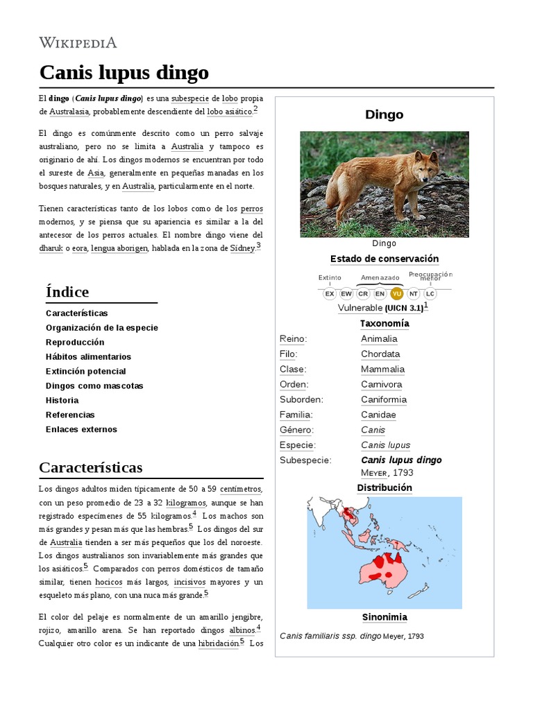 Canis Lupus Dingo | PDF | Caninos | Subespecie De Canis Lupus