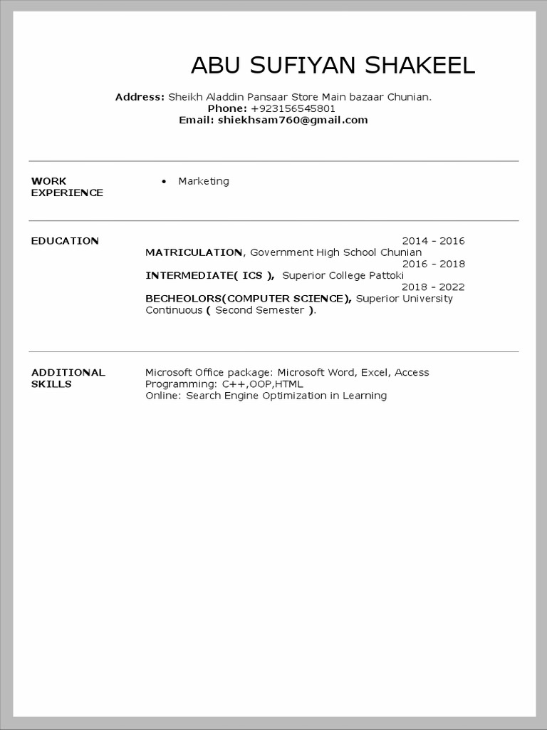 Sufyan's CV | PDF