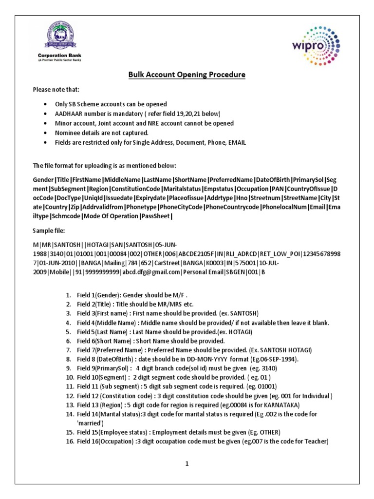 Bulk Account Opening | PDF | File Format | Computing