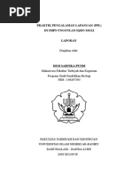 Contoh LAPORAN PPL Individu | PDF