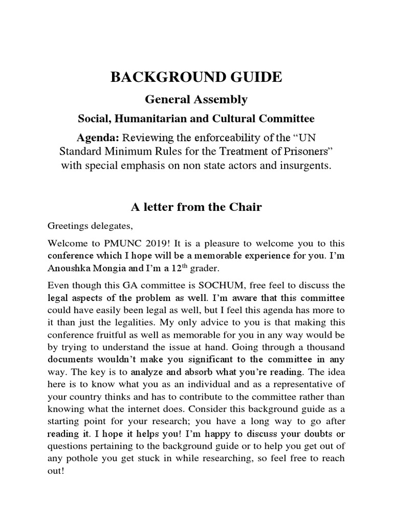 UNGA Background Guide | PDF | International Humanitarian Law | Prison