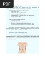 Pasos Quirúrgicos para La Cesárea Tipo Kerr | PDF | Abdomen | Seccion ...