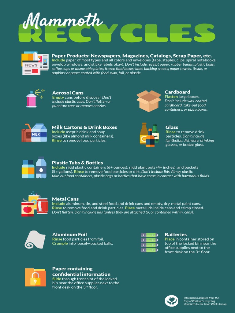 Mammoth Kitchen Recycling Poster | PDF | Recycling | Plastic