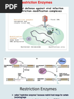 NEBcutter: Restriction Enzyme Analysis Tool | PDF