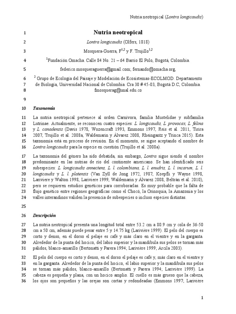 Nutria Neotropical (Lontra Longicaudis) | PDF | Colombia | Ecología