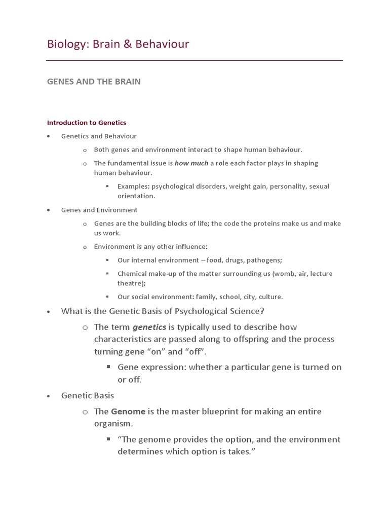 Biology - Brain (Genes and The Brain) | PDF | Gene | Dominance (Genetics)
