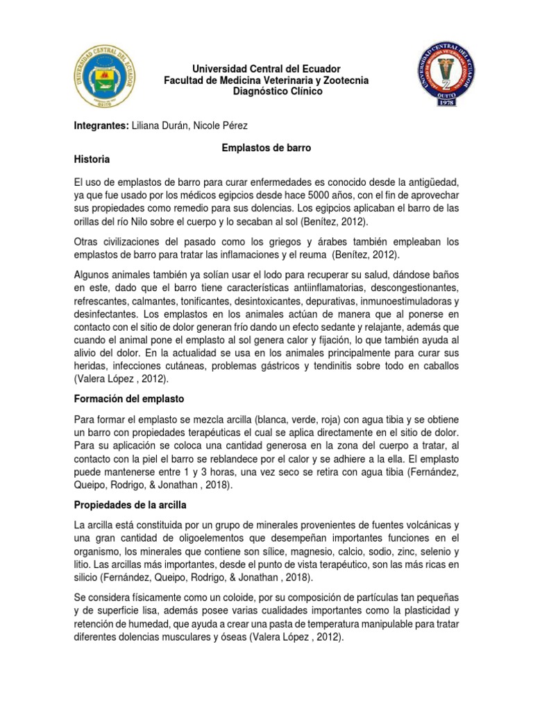 Emplastos de Barro Final | PDF | Arcilla | Minerales